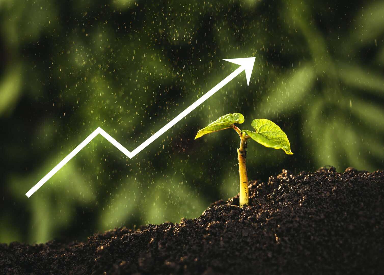 About Us | FieldAssist